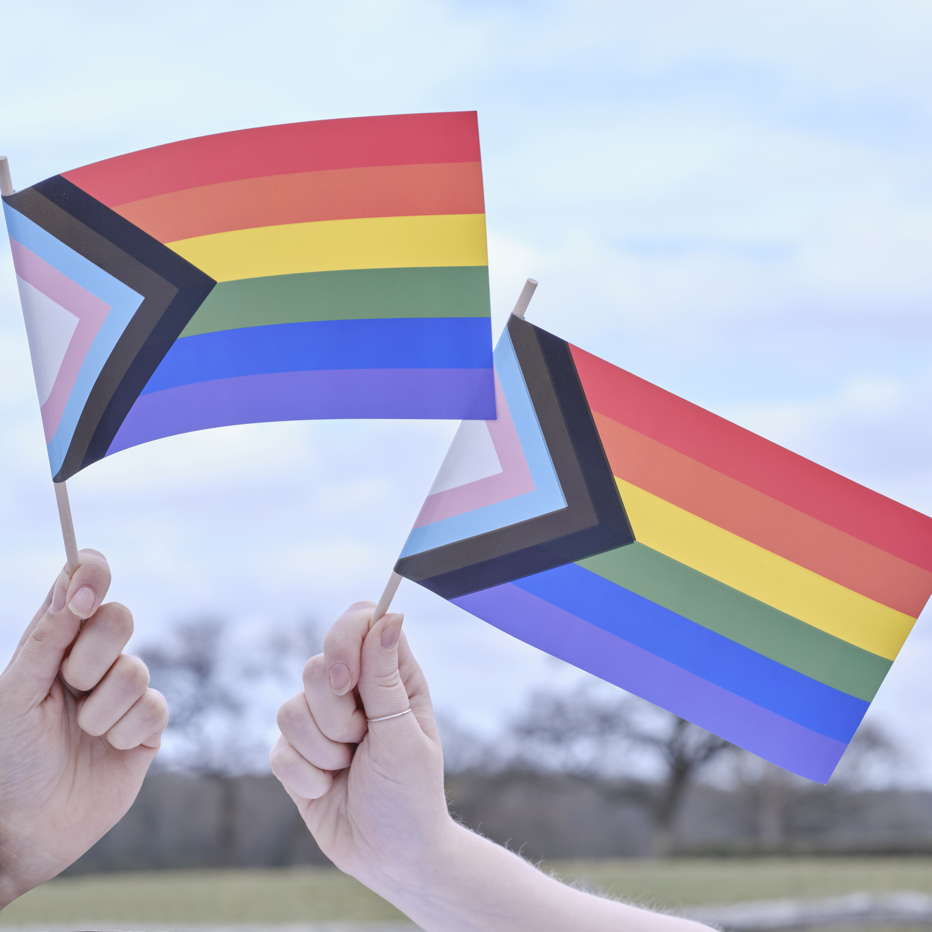 Handheld Pride Flag | Ginger Ray