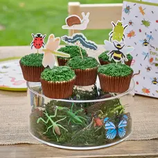 bug theme party